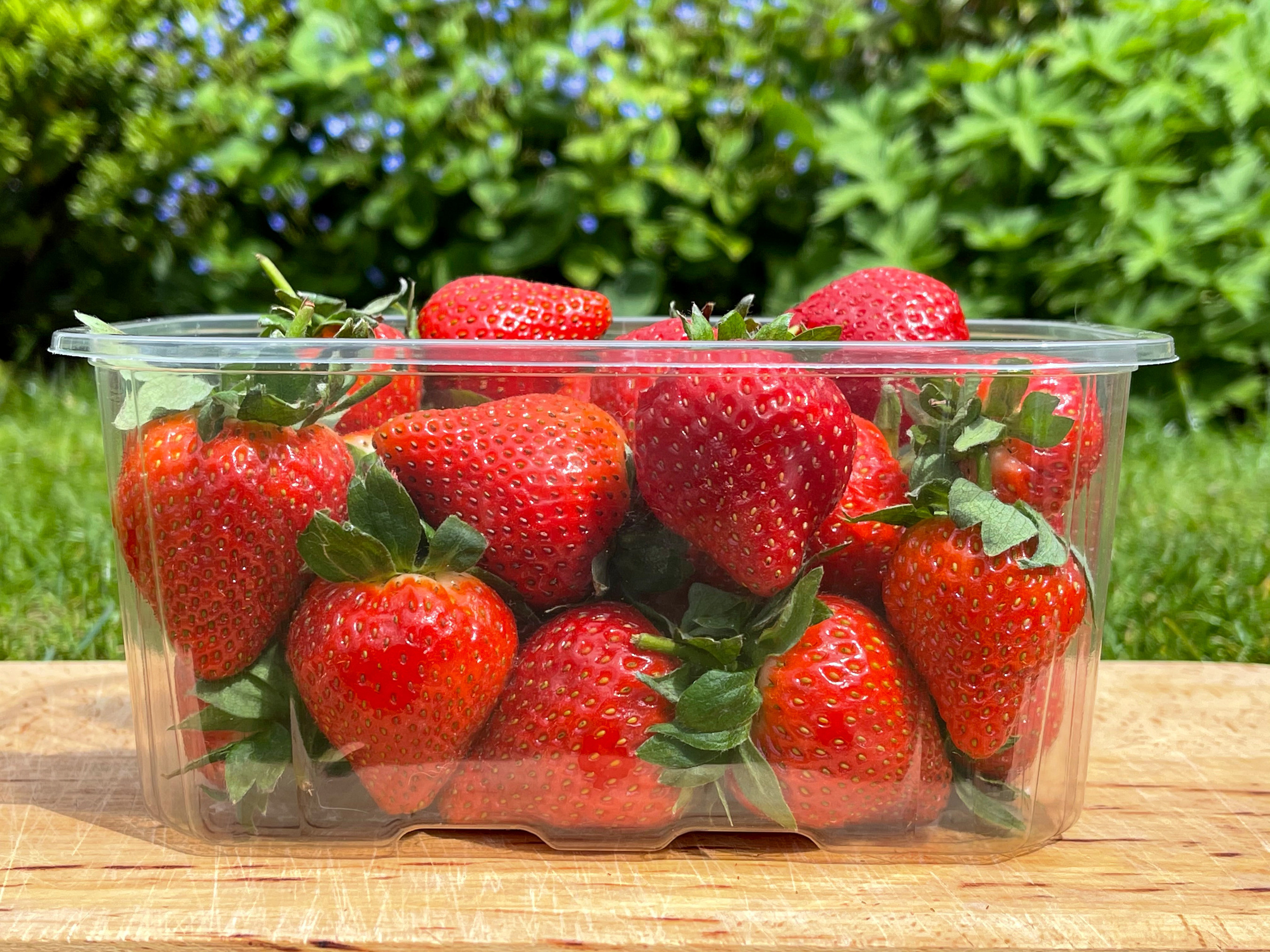Kickstart: How about some berry good sustainable packaging news ...
