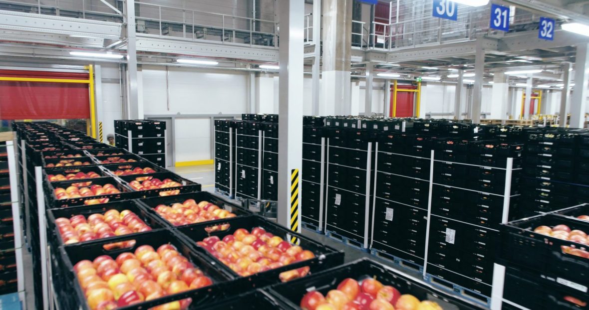 Packaging | Plastics News