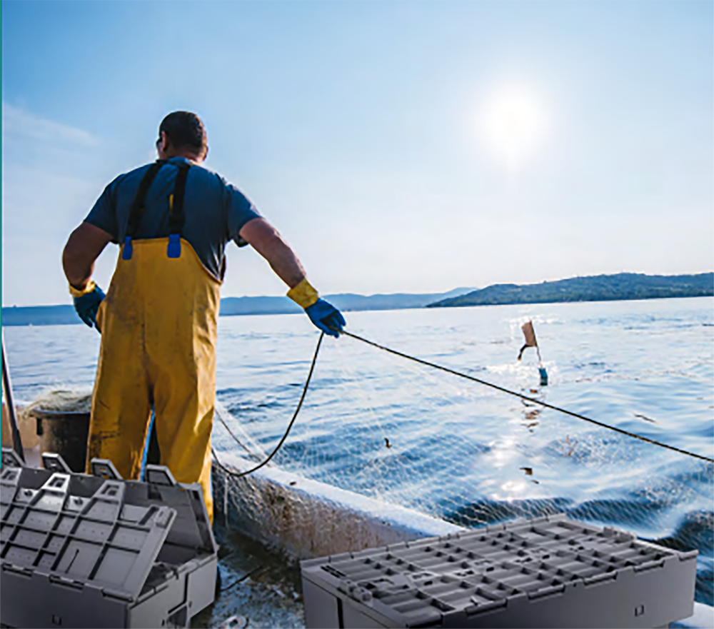 Lobster industry marks 25 years of plastic crates | Plastics News