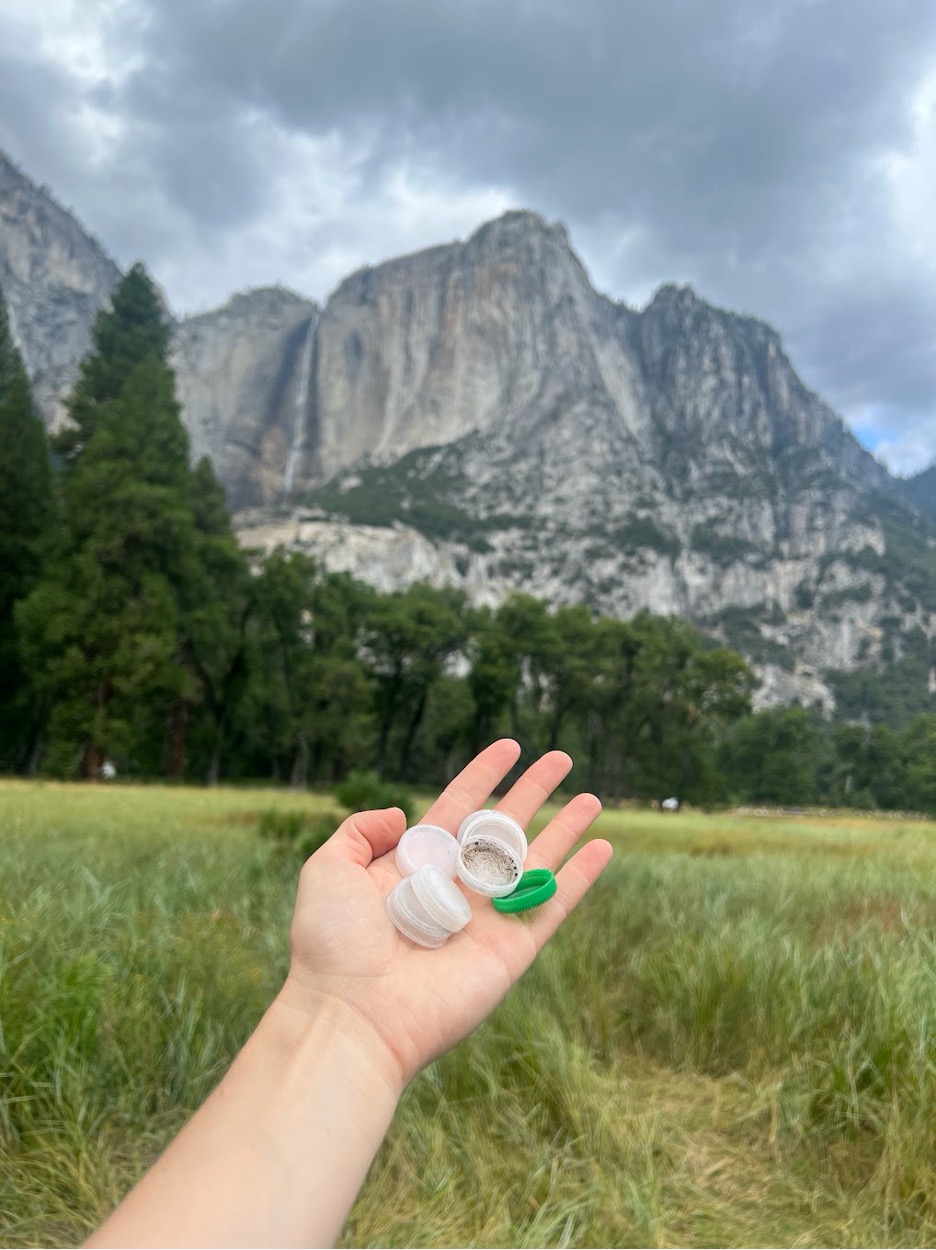 Plastics top litter in national parks ‘trash blitz'; ACC unveils ...