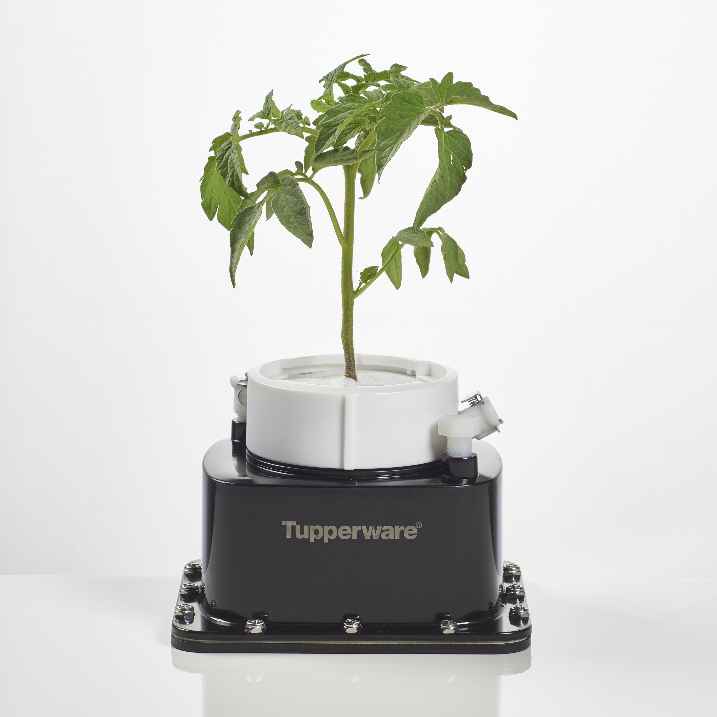 Tupperware helps astronauts get fresh veggies, even in space | Plastics ...