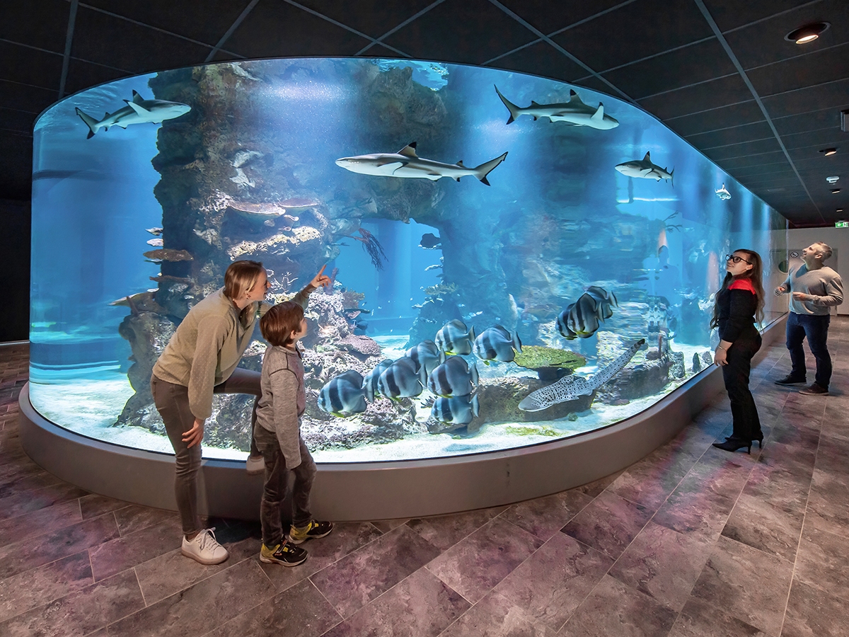 Polyvantis forms from assets of both Sabic and Röhm | Plastics News