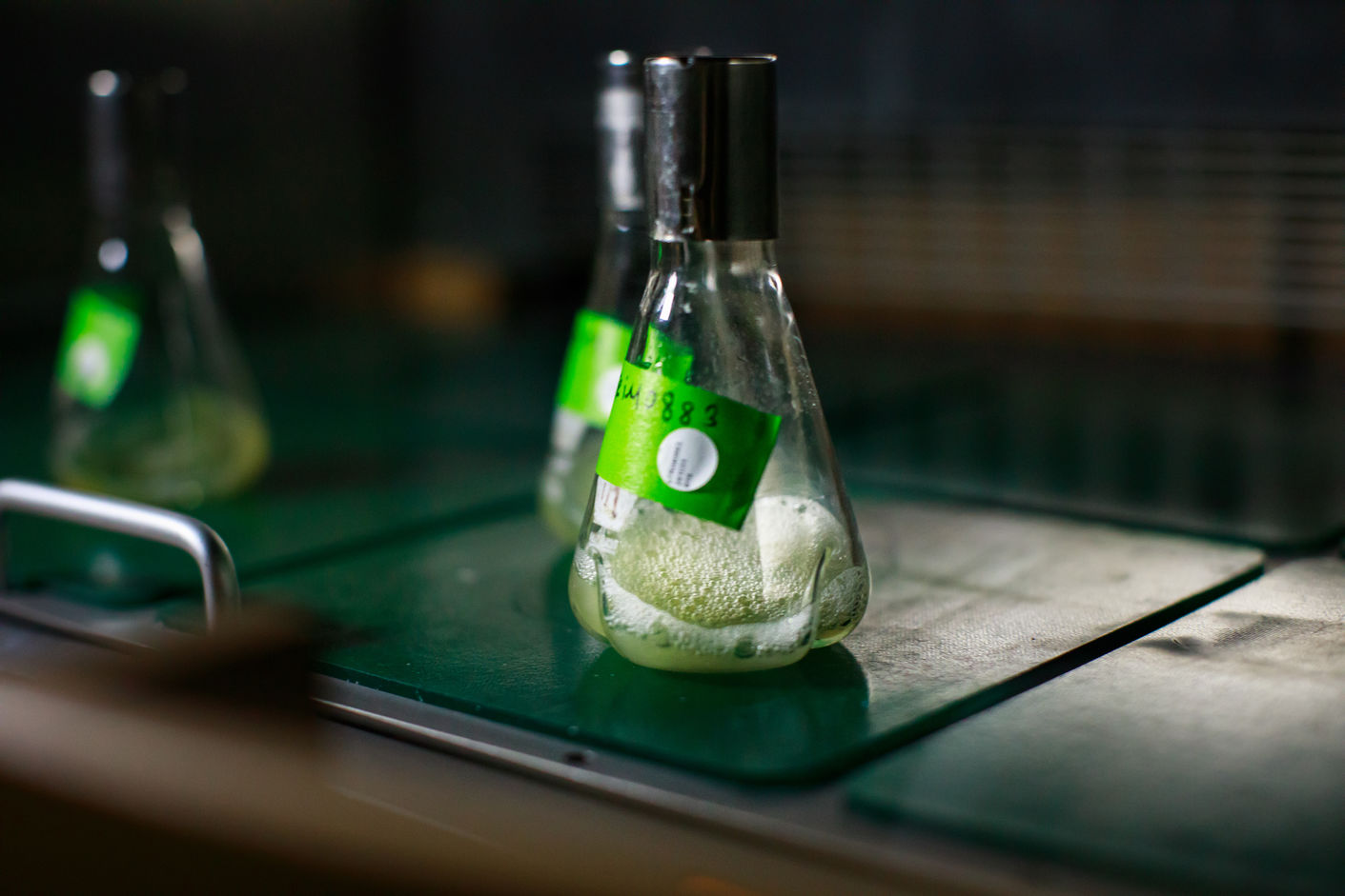 iMicrobes scales production of 100% bio-based acrylic acid for ...