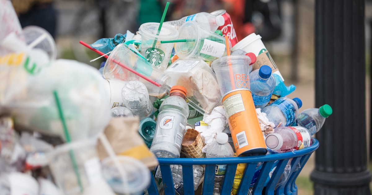 What does Trump mean by ‘BACK TO PLASTIC'? | Do a majority really like ...