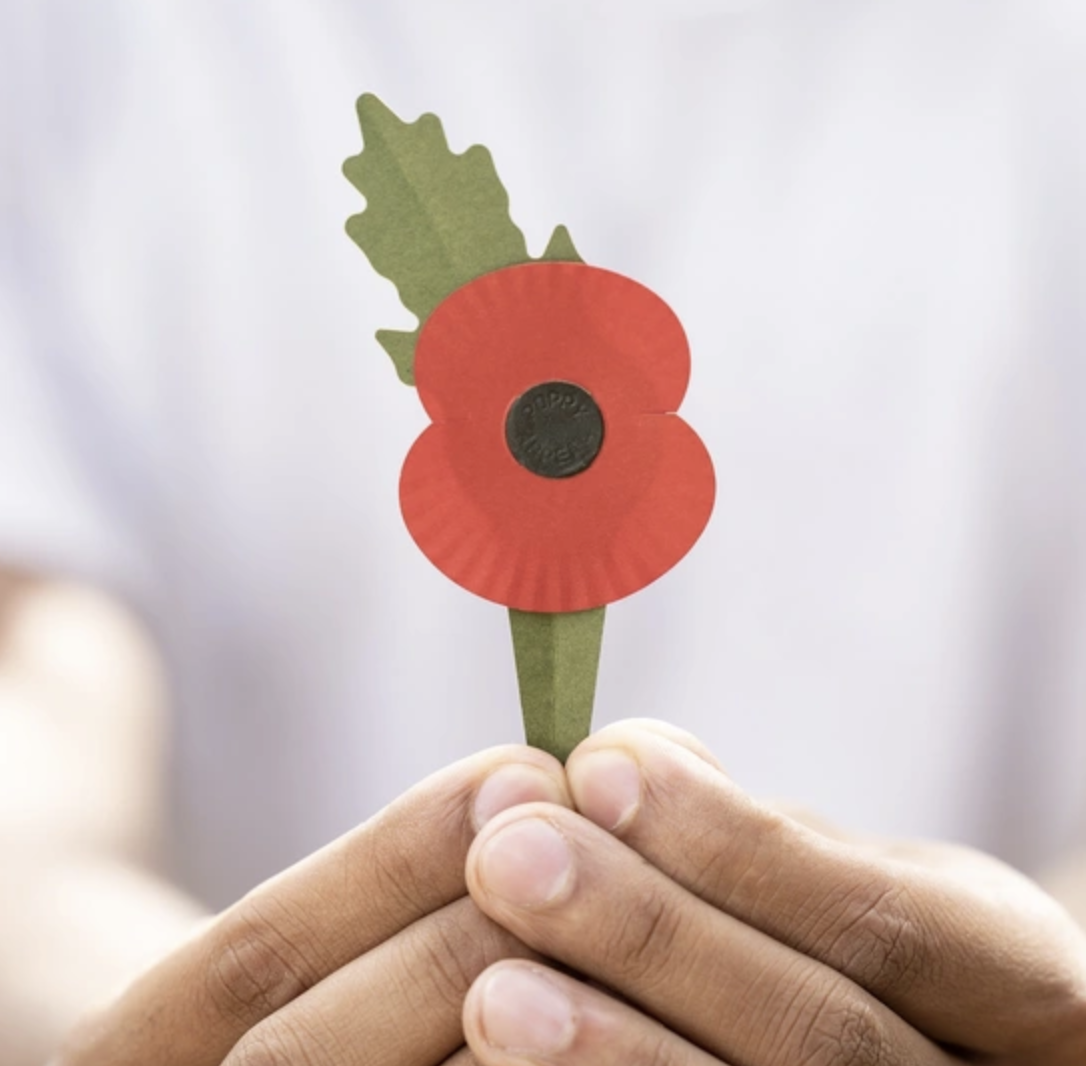 Plastics replaced in fundraising poppies; NPE2024 to have an ...
