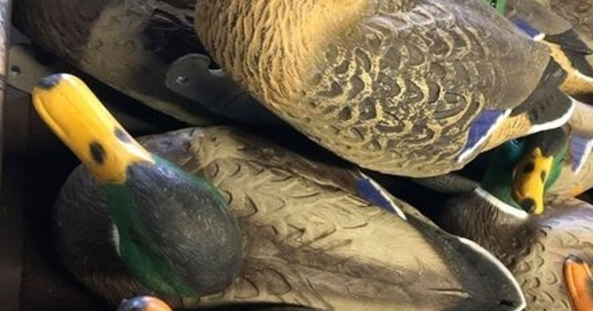 Duck decoy company molds a second life in rural Arkansas | Plastics News