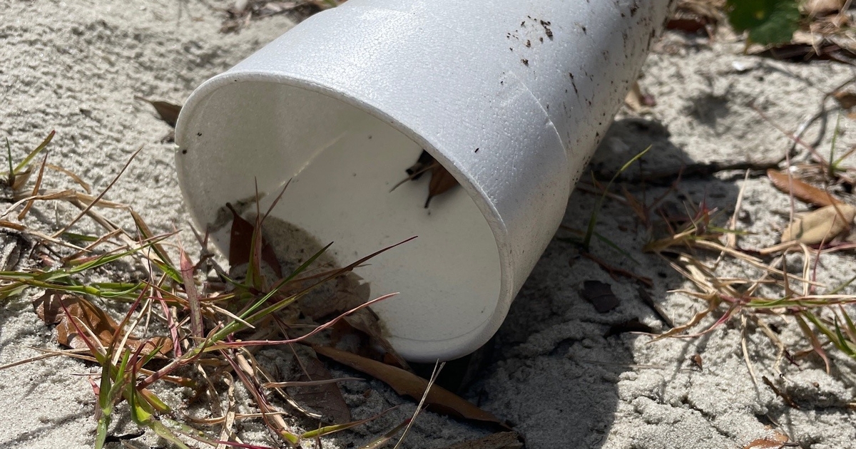 EPS ban to be crucial test of California's big plastics law, green ...
