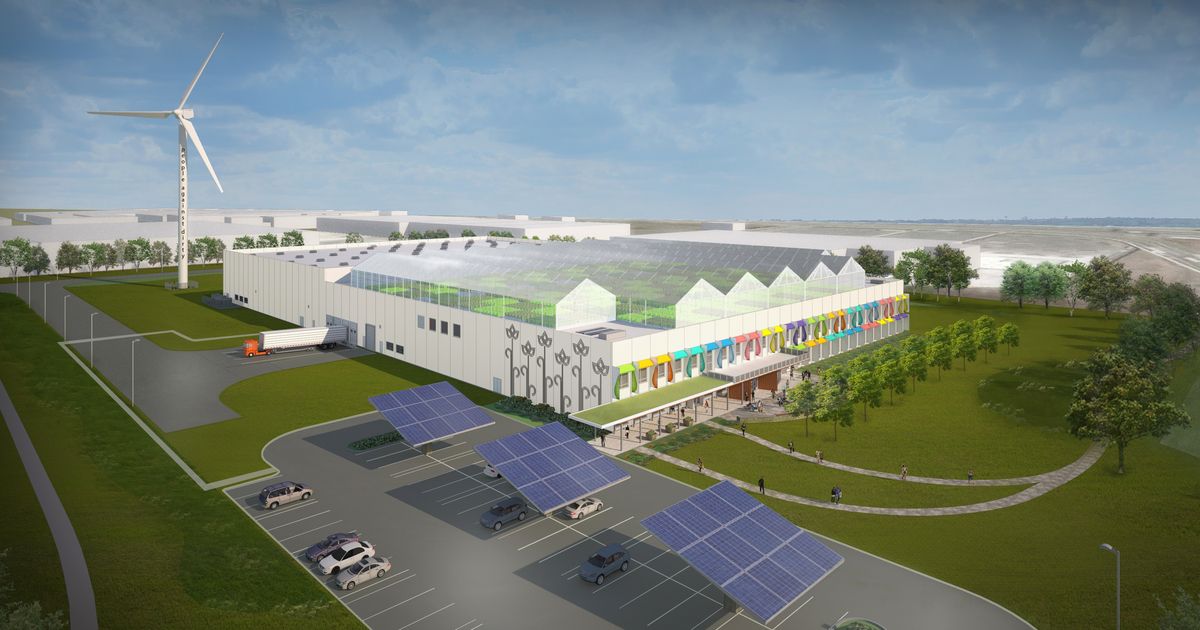 New-Amcor-Method-project-taking-sustainability-to-a-platinum-level ...
