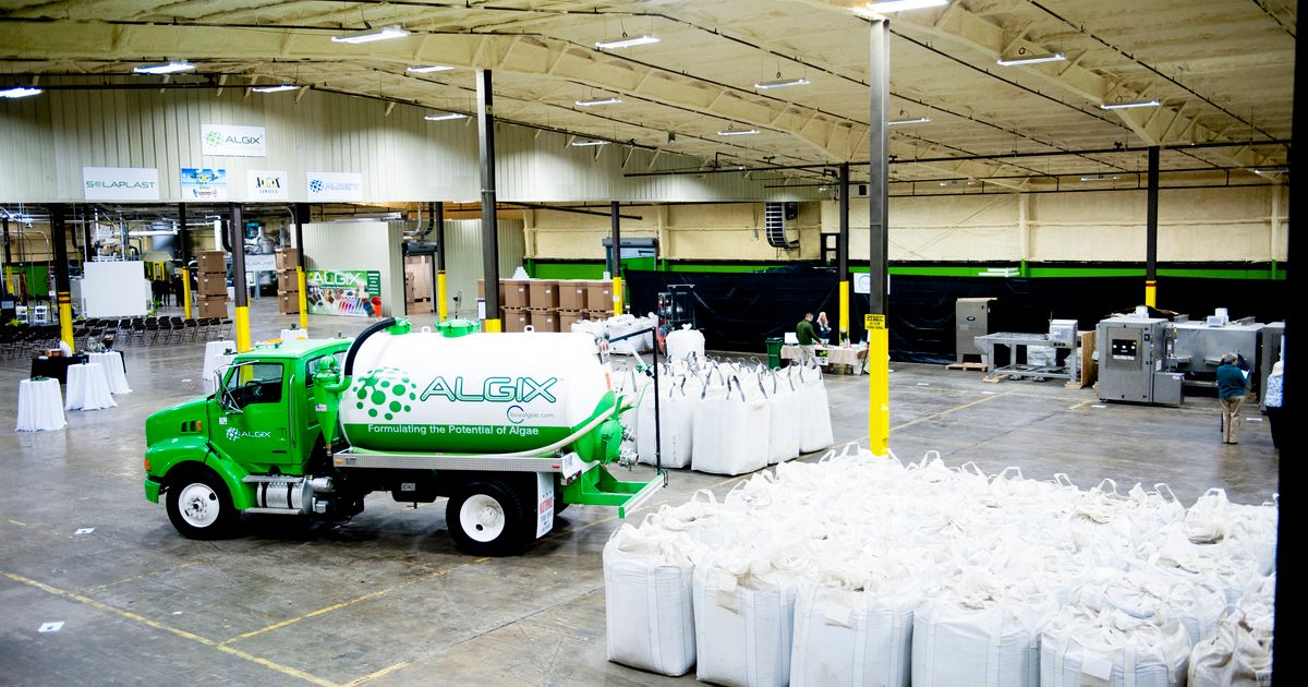 Algix-brings-algae-based-3-D-printing-filament-to-market | Plastics News