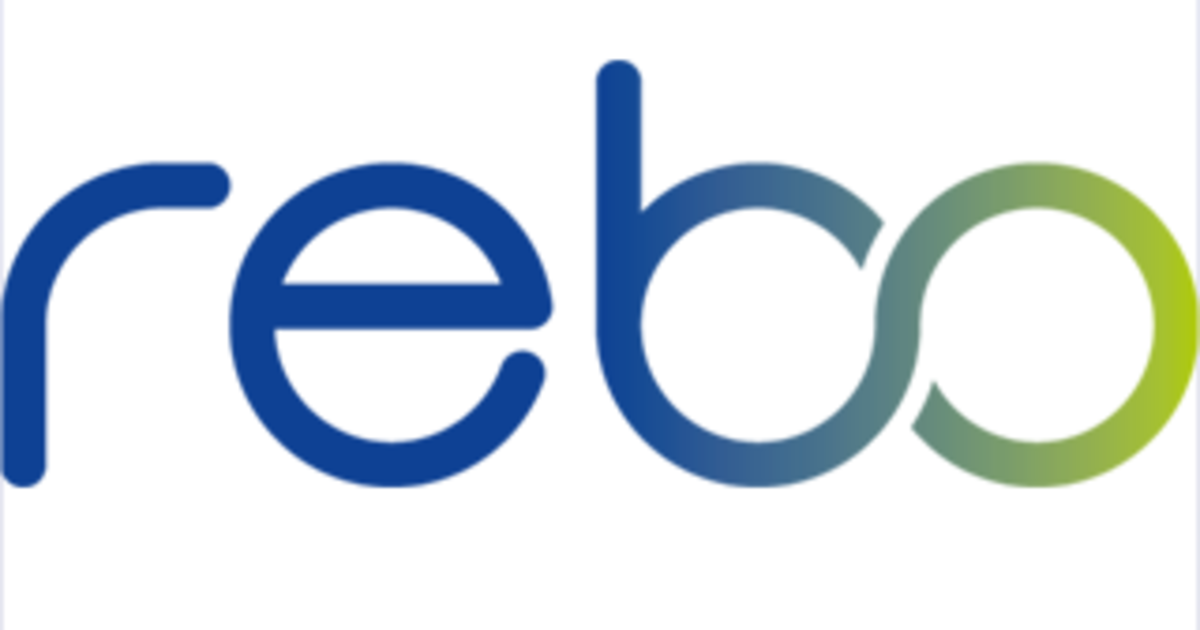 China's-Rebo-has-big-plans-for-US-auto-lighting-growth | Plastics News