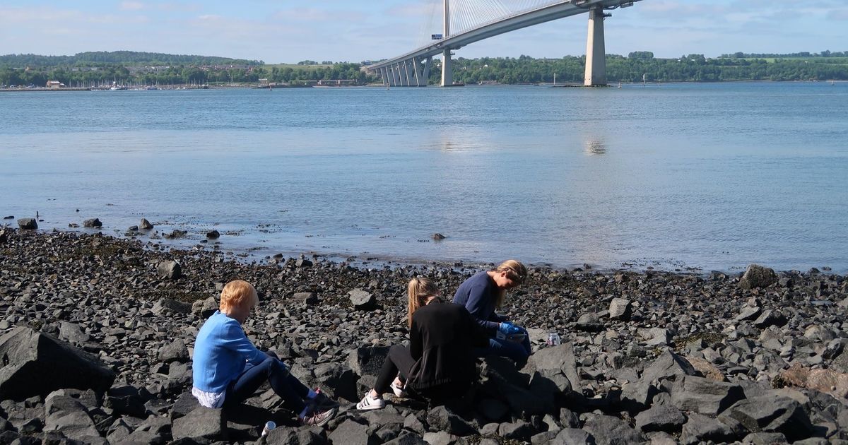 Operation-Clean-Sweep-faces-calls-to-transform | Plastics News