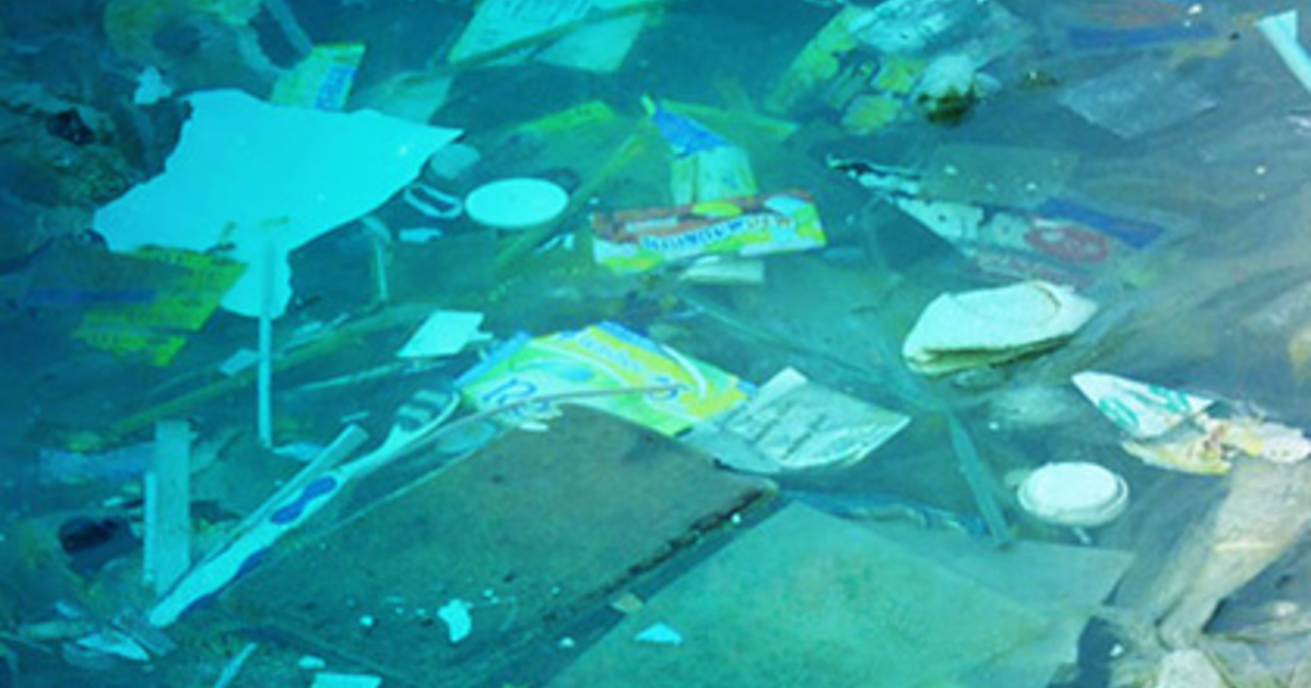 UK-study-shows-plastics-exposure-expands-to-deepest-parts-of-the-sea ...