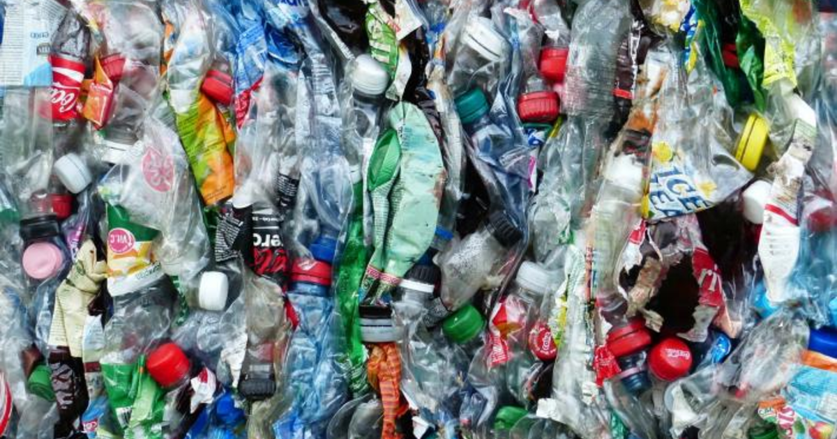 UN-launches-global-plastic-pollution-project | Plastics News