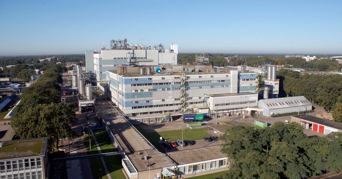 DSM-adding-capacity-for-high-performance-plastics | Plastics News