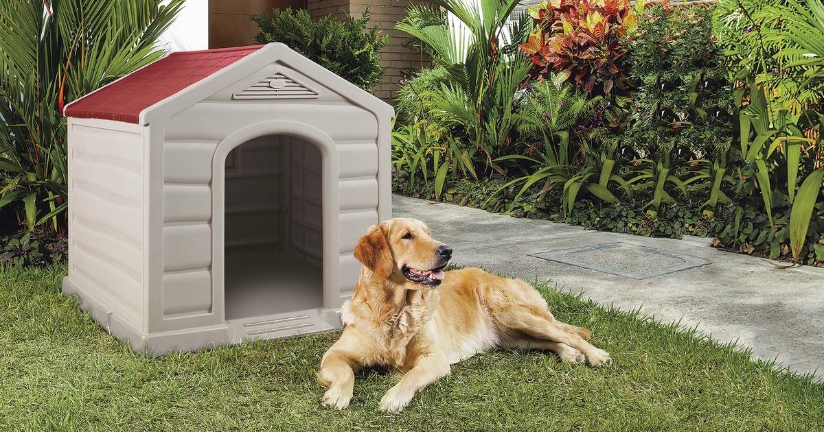 Dogs are welcome to get into this trash | Plastics News