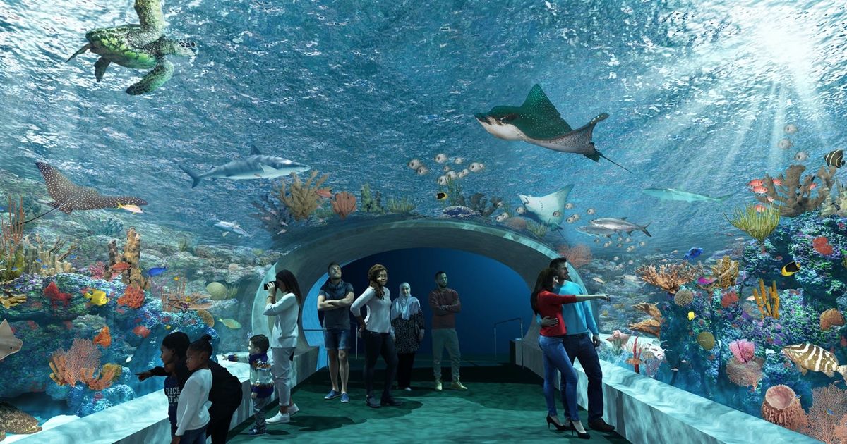 Kickstart: A centennial splash | Plastics News