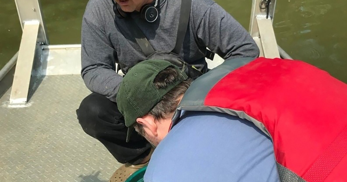 Styropek to pay $2.6M to settle pellet pollution lawsuit | Plastics News