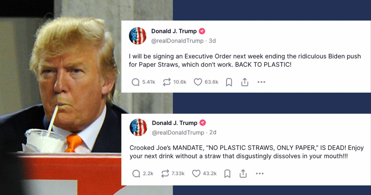 What does Trump mean by ‘BACK TO PLASTIC'? | Do a majority really like ...