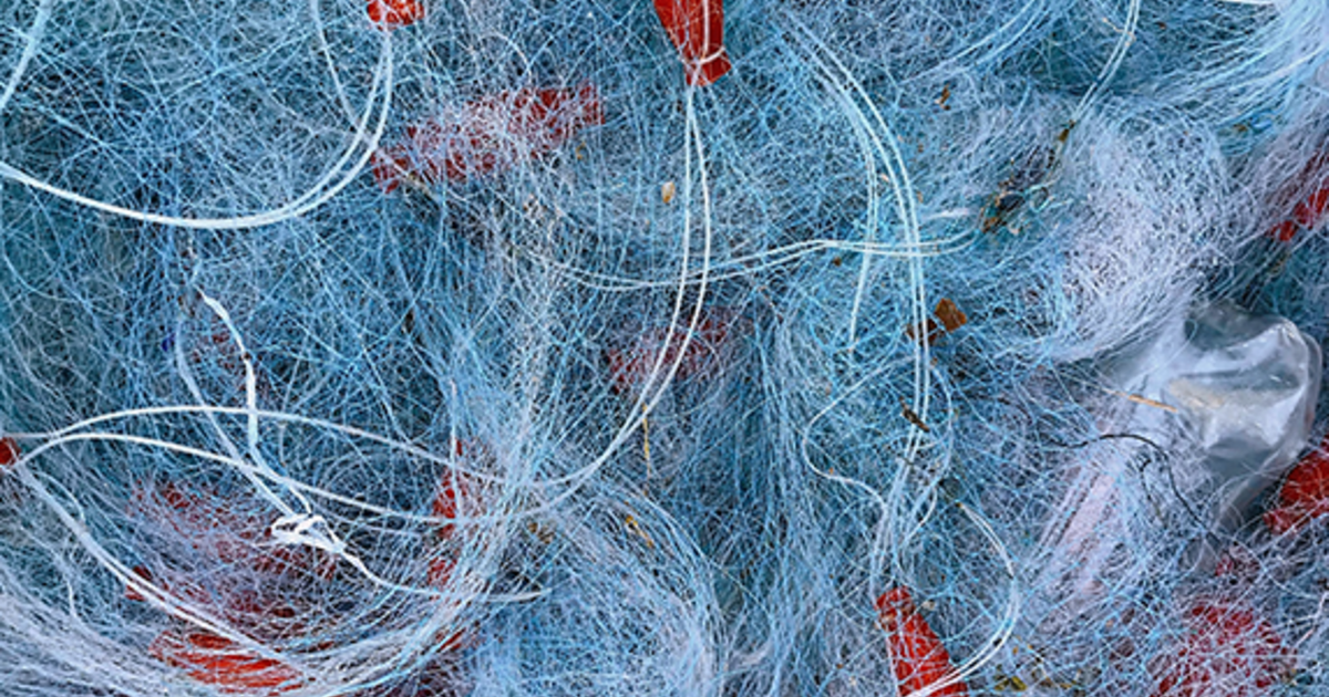 LG Chem to recycle marine waste into new plastic | Plastics News