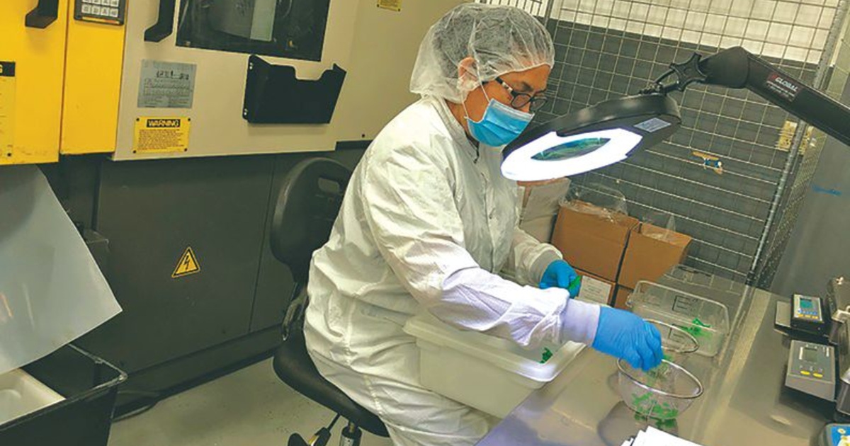 TriMas expands clean room molding capacity in Denver | Plastics News