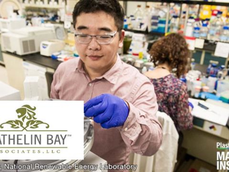 Material-Insights:-Scientists-look-to-replace-oil-gas-as-ethylene ...