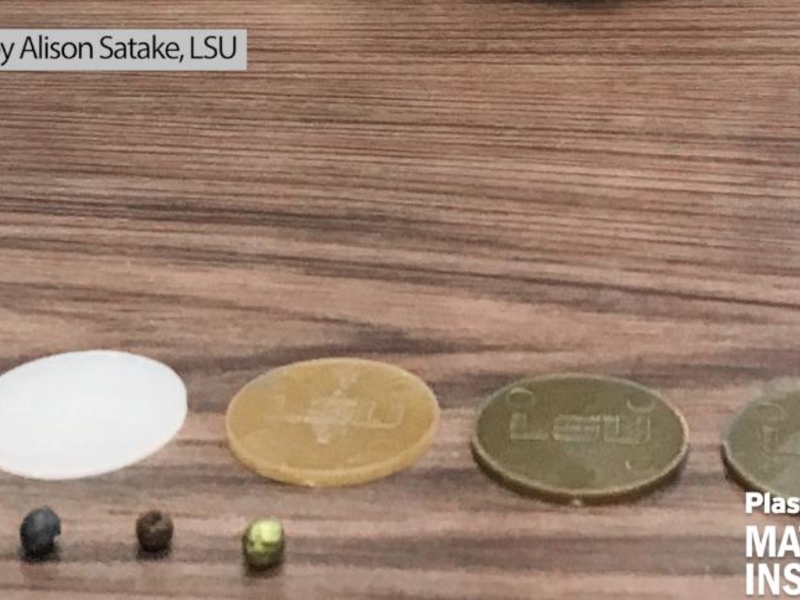 Material-Insights:-LSU-professor-develops-biodegradable-Mardi-Gras ...
