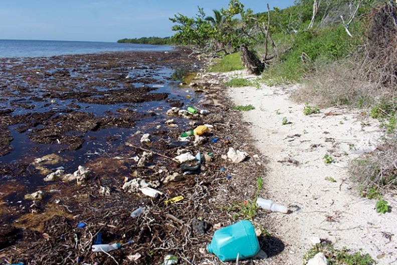 Will a policy change lead to more plastic trash at national parks ...
